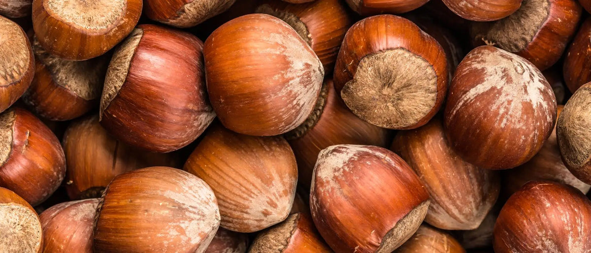 Lazdu rieksti – azaids.lv